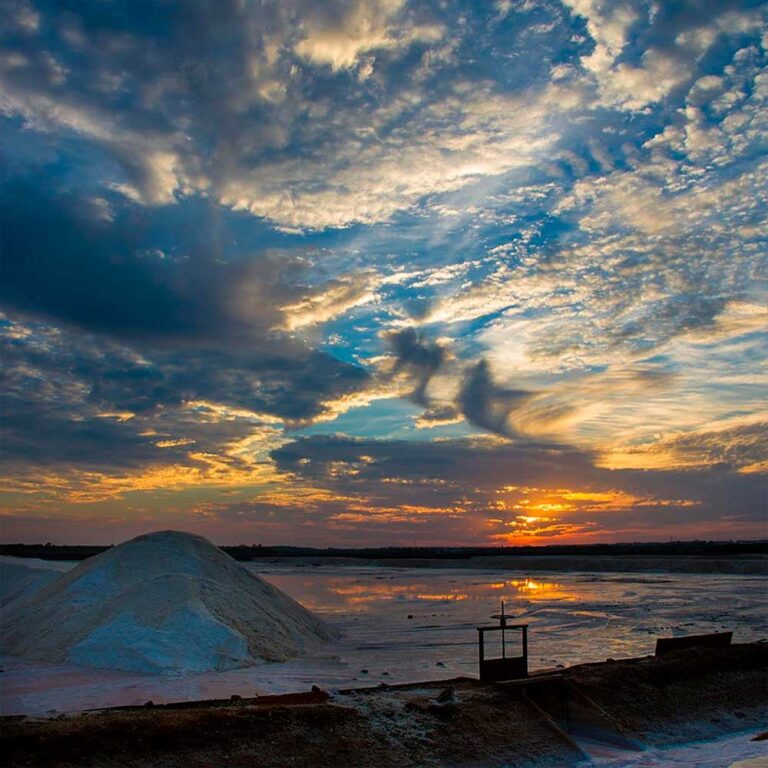 SALINAS DEL ODIEL, S.L. - Seasalt Europe